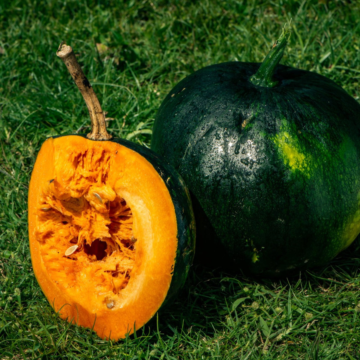 AHUYAMA | ORGAENIK | VEGETALES ORGÁNICOS – ORGAENIK - Productos Orgánicos